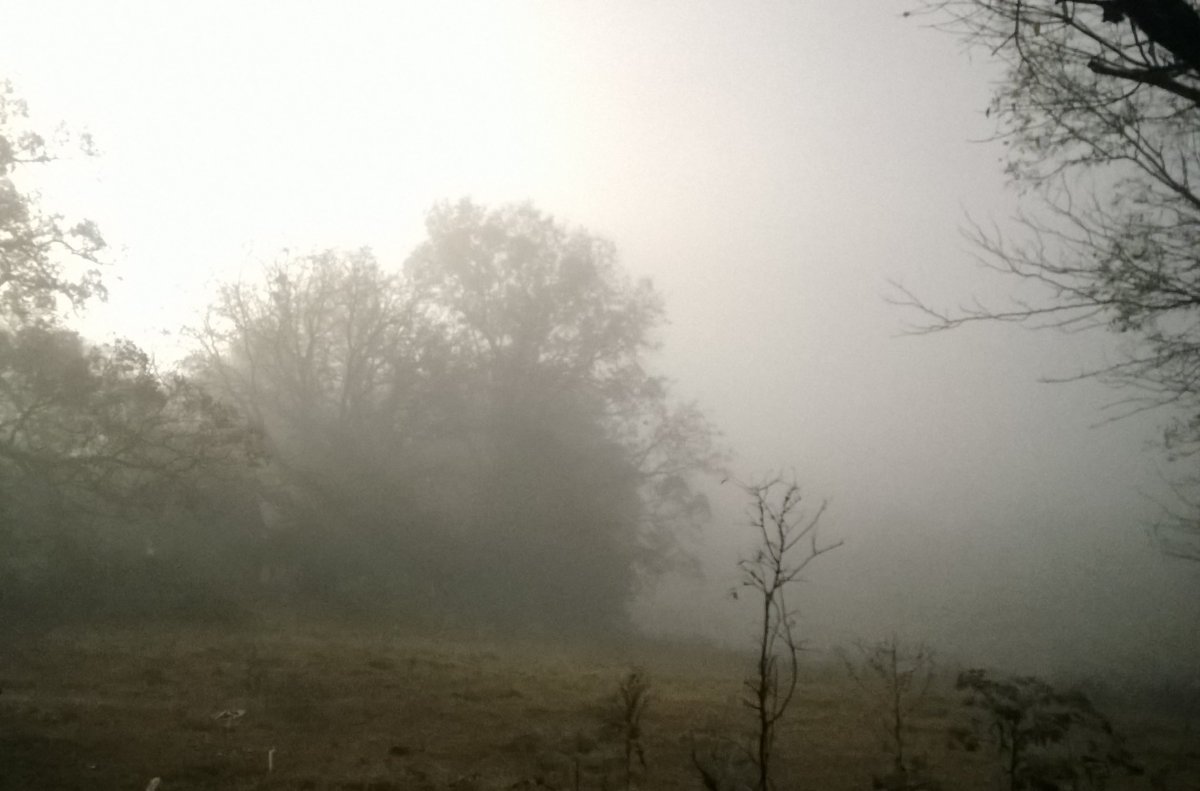 the Crone – A Worldwalker's Guide to the Multiverse